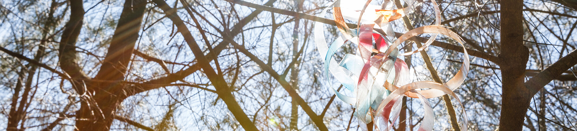 Search Results | BDS Support Services